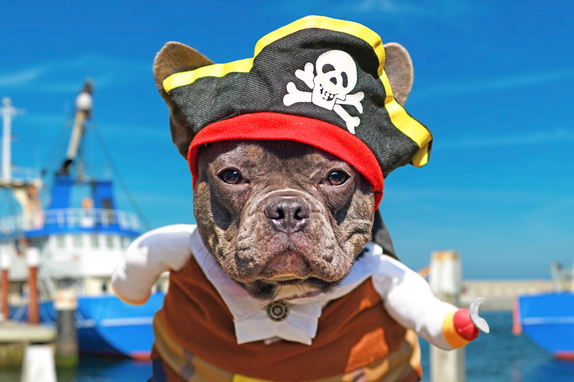 Halloween Events for Connecticut Dogs - Kidtivity.com